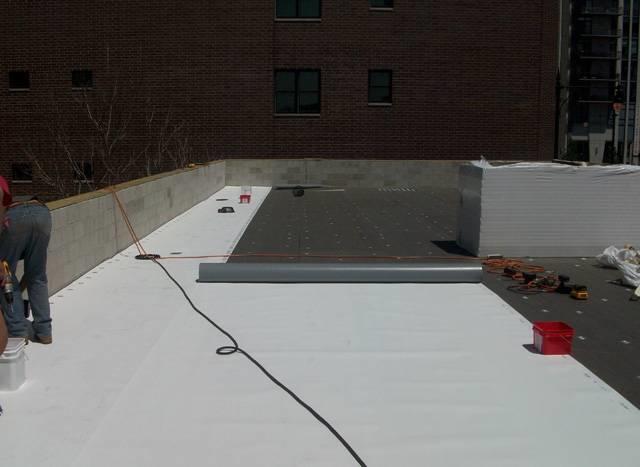 Home | PRO TOP Roofing